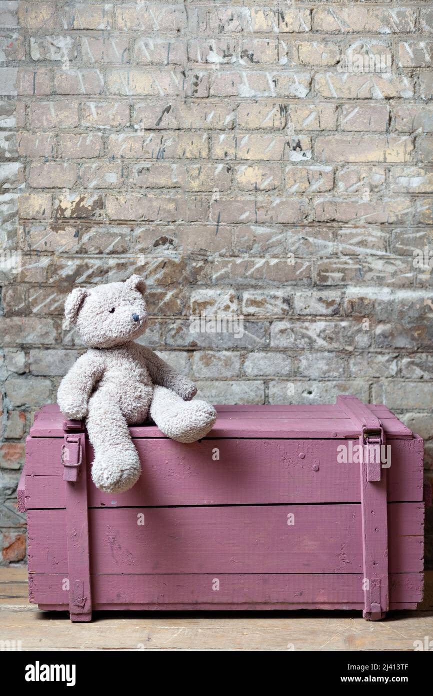 Lonely bear cub hi-res stock photography and images - Alamy