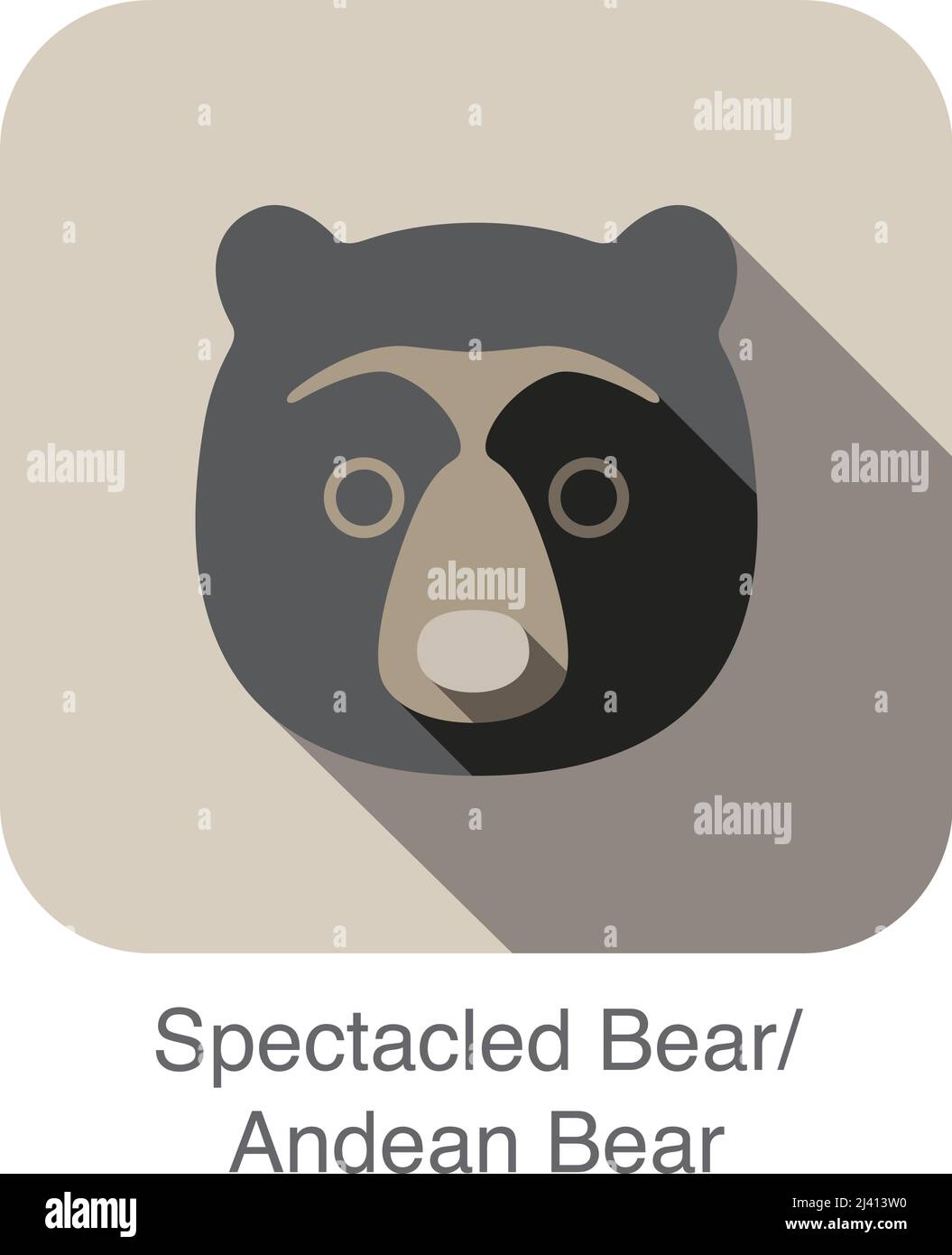 Spectacled bear profile Cut Out Stock Images & Pictures - Alamy