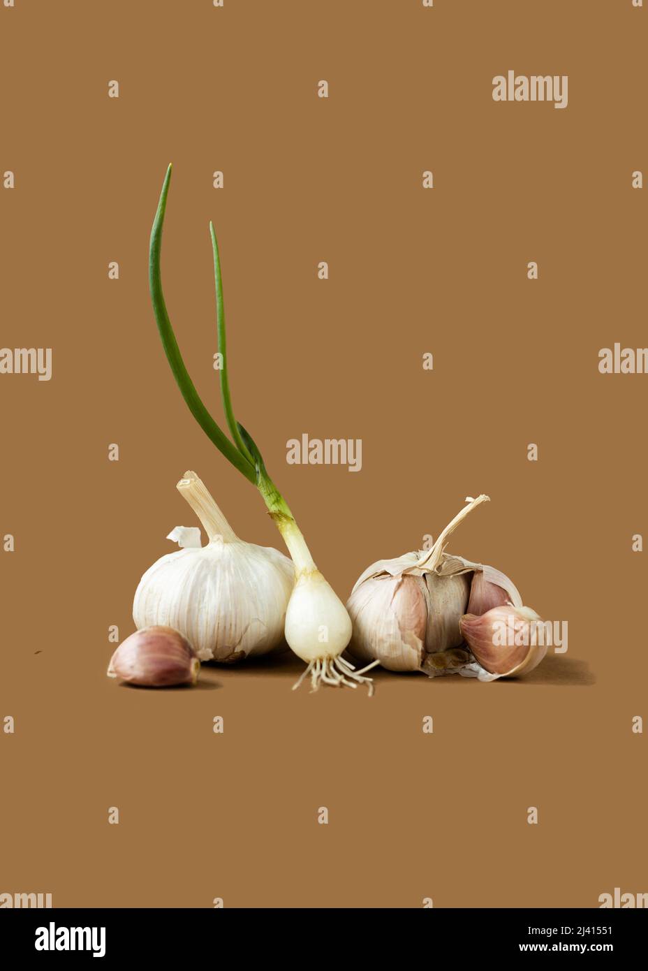 Dry whole garlic bulb, cloves, and green foxes of young garlic on a ...