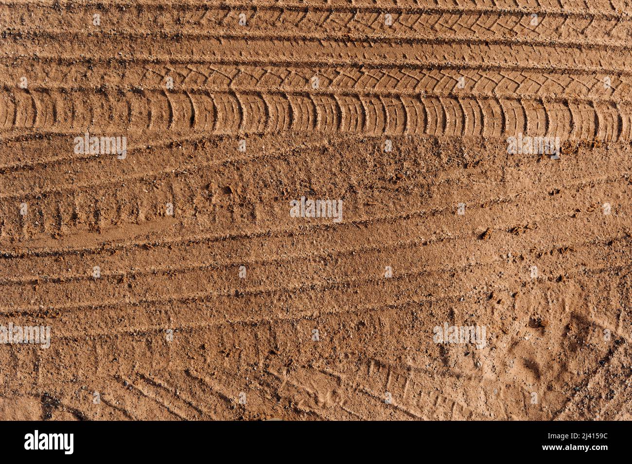 Car wheel tracks on dry sandy ground Stock Photo - Alamy