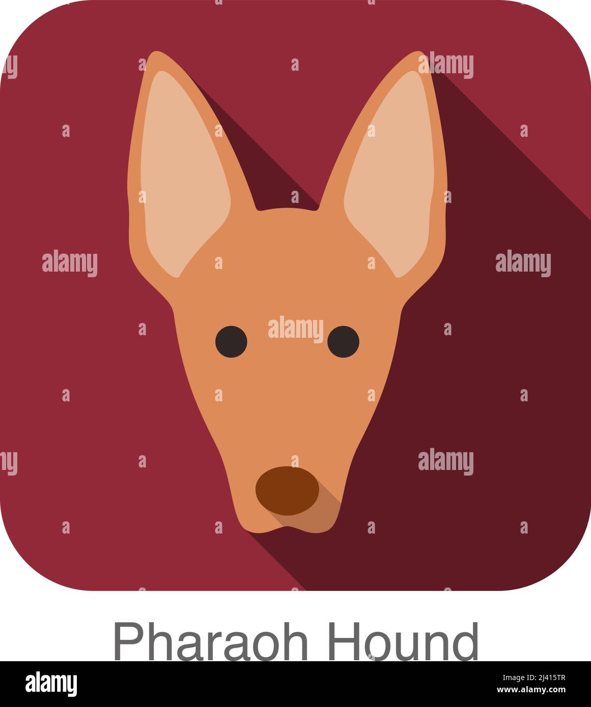 Pharaoh Hound dog face flat icon Stock Vector Image & Art - Alamy
