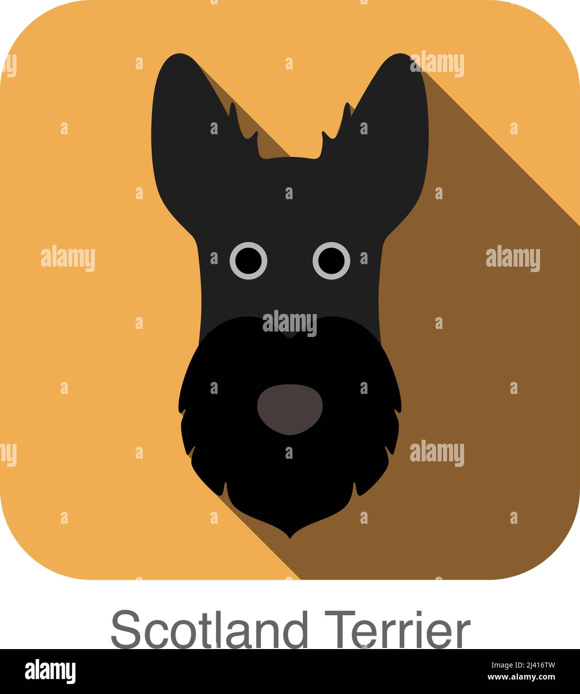 Scotland terrier dog face flat icon Stock Vector Image & Art - Alamy
