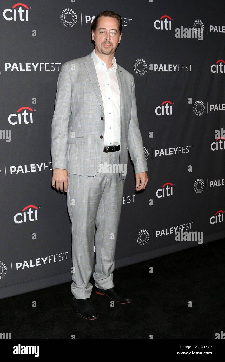 Sean Murray 2022