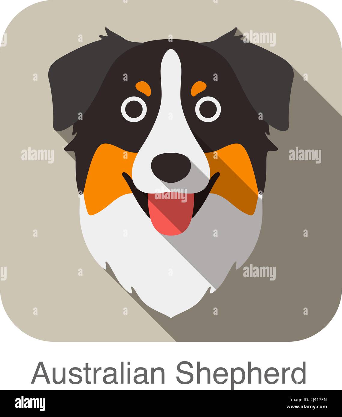 Australian shepherd dog face flat icon, dog series Stock Vector Image ...