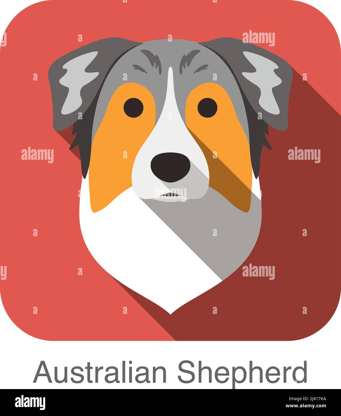 Australian shepherd Stock Vector Images - Alamy