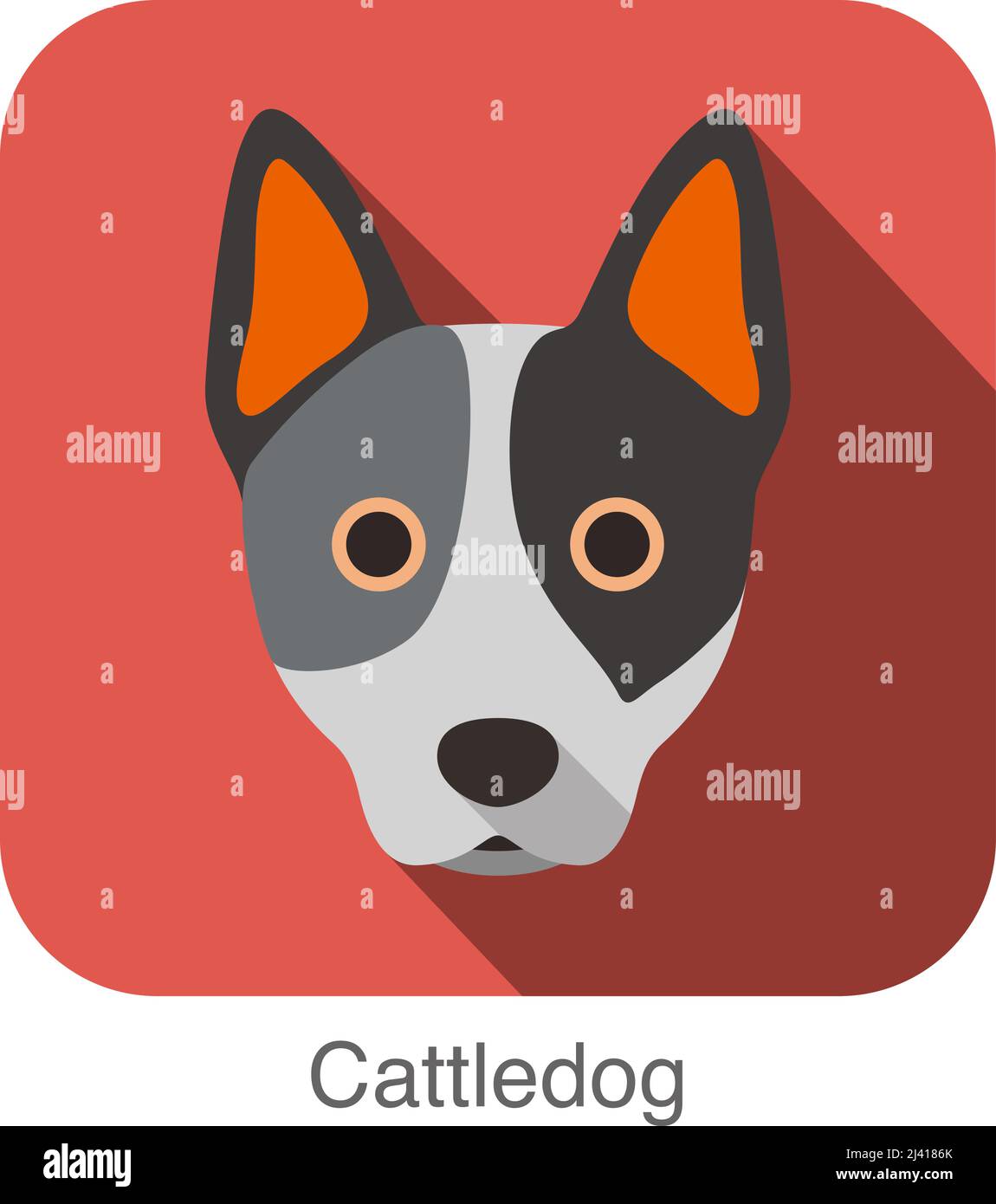 Cattle dog vector vectors hi-res stock photography and images - Alamy