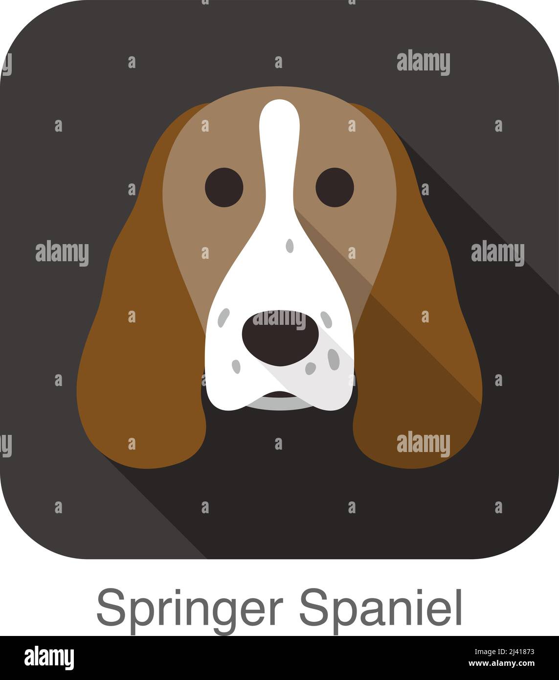 Springer spaniel dog face flat icon, dog series Stock Vector Image ...