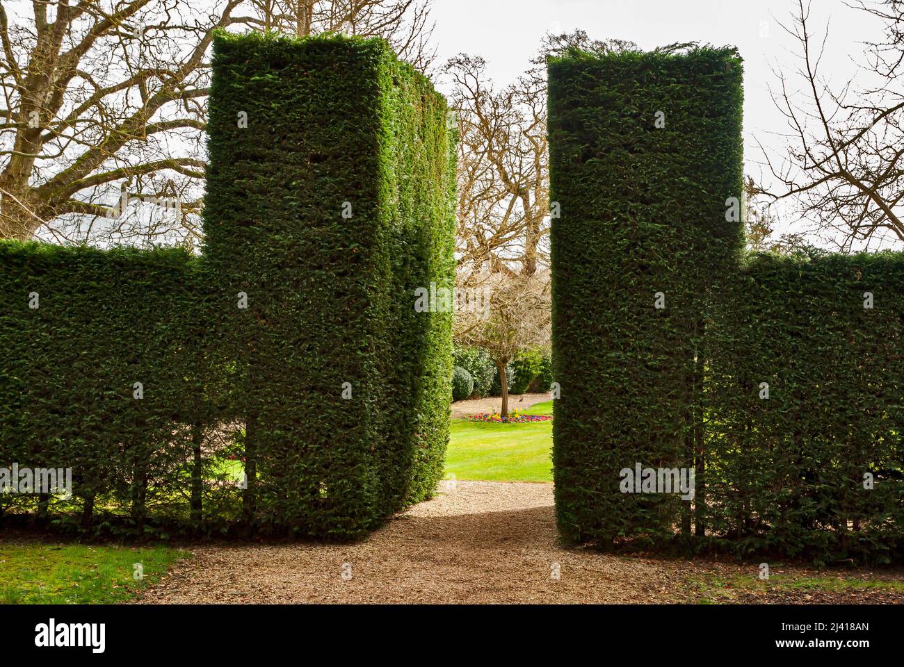 Hedge gate garden lawn hi-res stock photography and images - Alamy