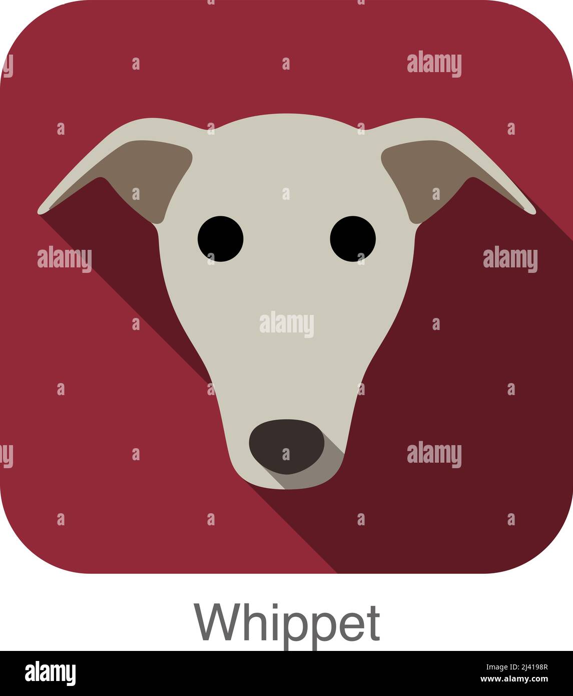 Whippet cartoon hi-res stock photography and images - Alamy