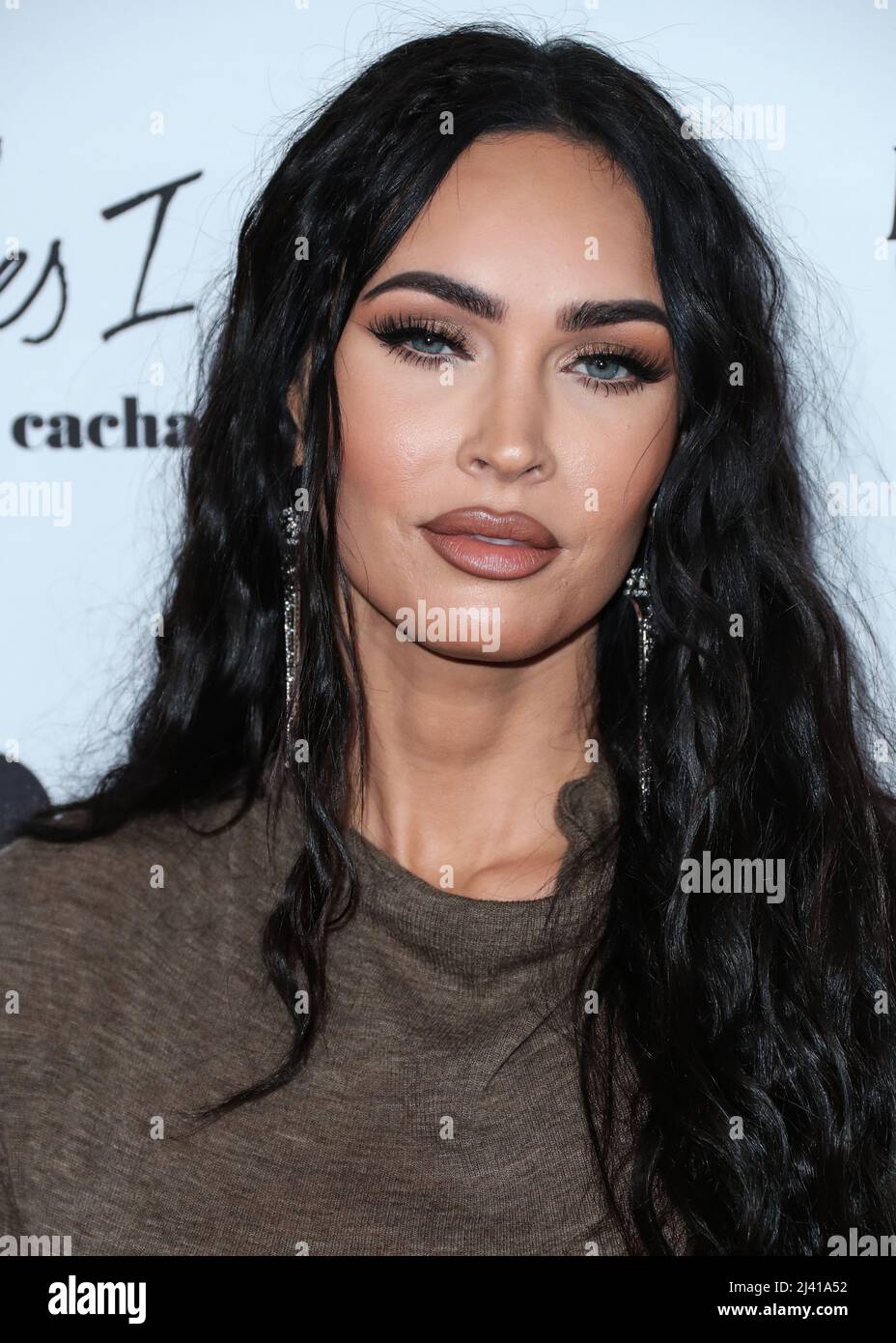 Megan Fox Eyebrows 2022