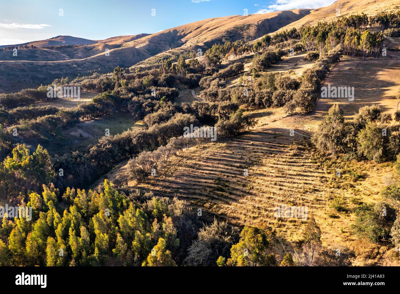 Incan terraces at Bosque Dorado near Huancayo in Junin, Peru Stock ...