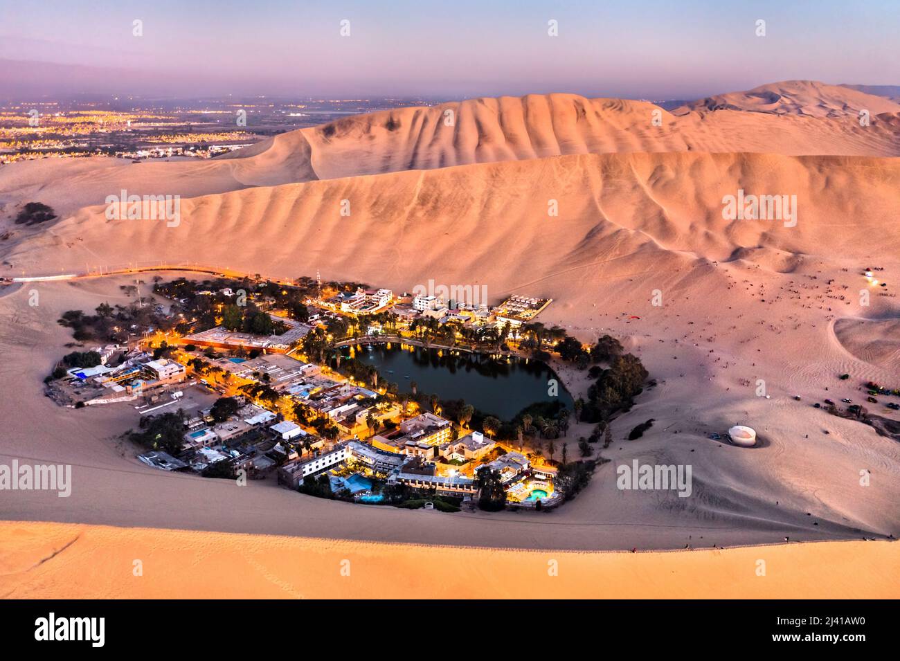 Real Desert Oasis At Night