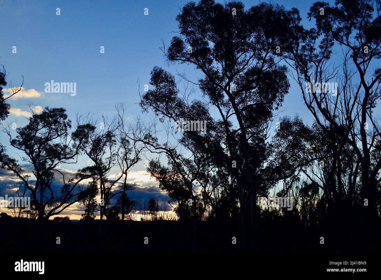 A view of the sunset at Bell in the Blue Mountains of Australia Stock ...
