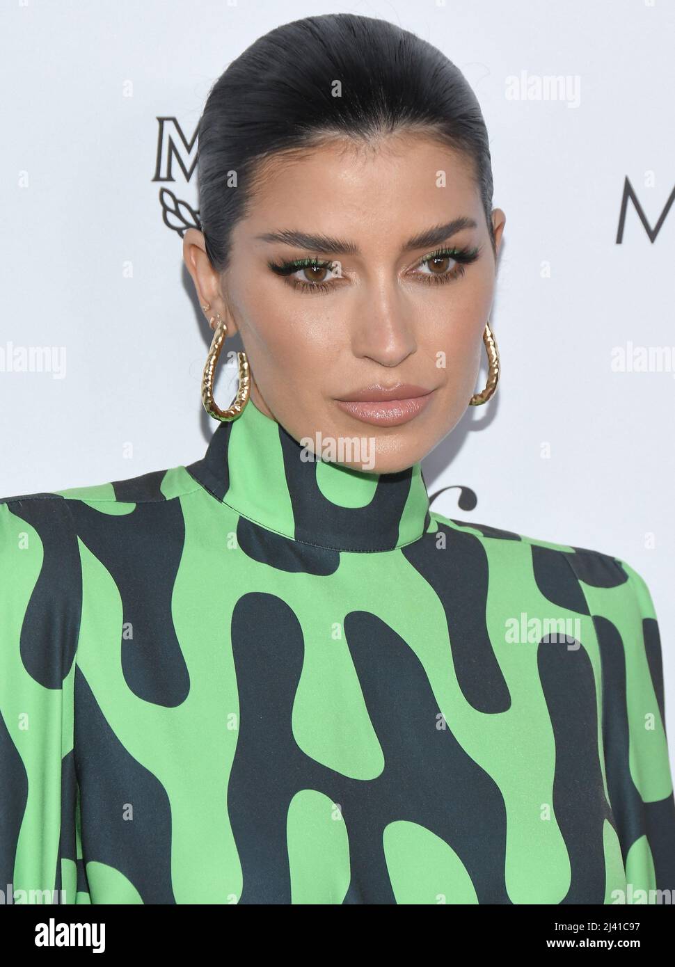 Nicole Williams English arrives at The Daily Front Row's 6th Annual ...