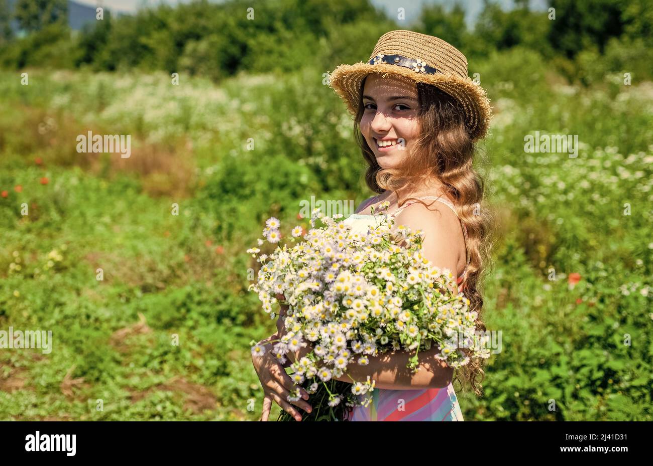 Small girl collecting flowers and herbs on sunny day, vacation concept ...