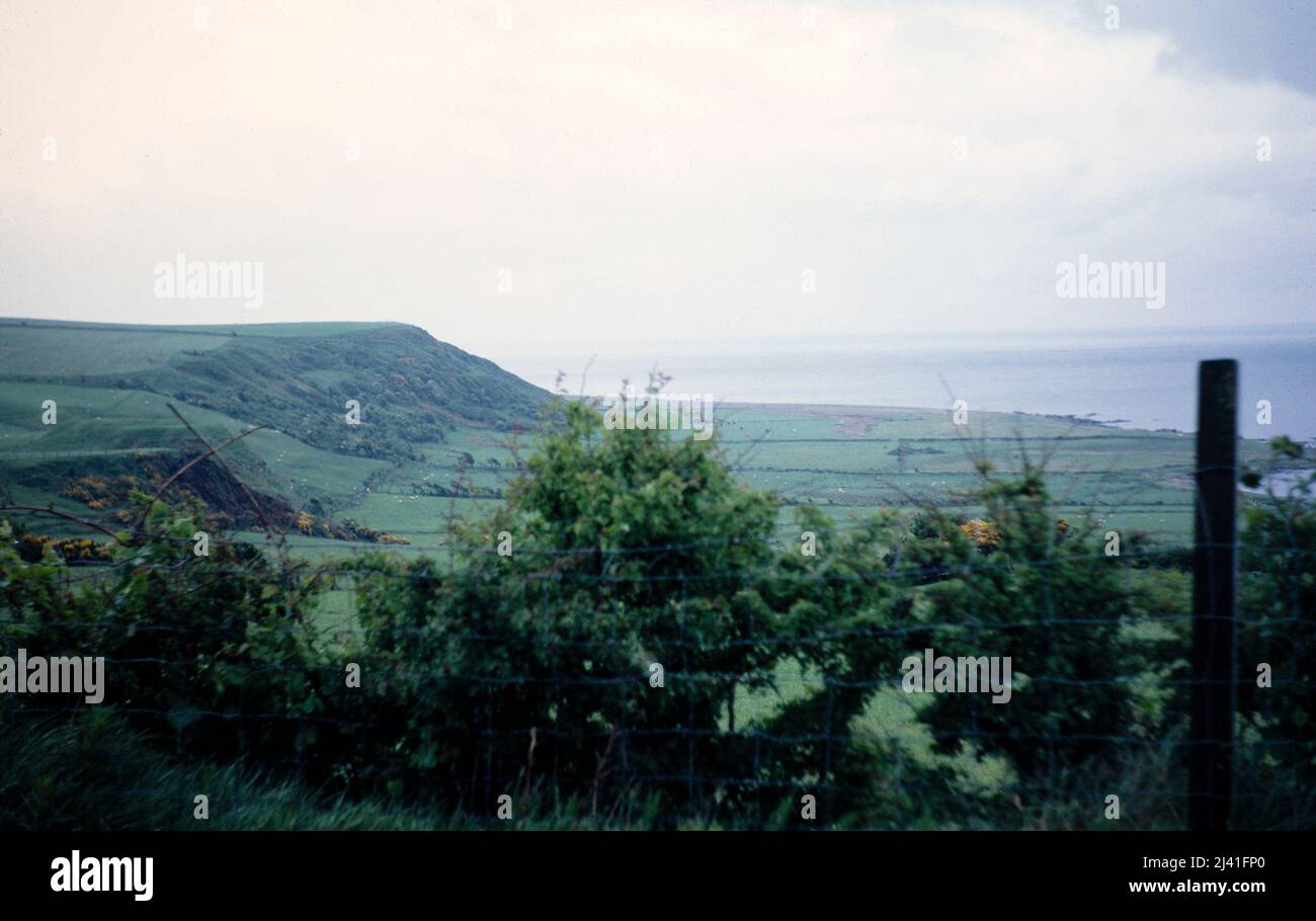 Raised beach and rasied cliff caused by isostatic uplift, Isle of Arran ...