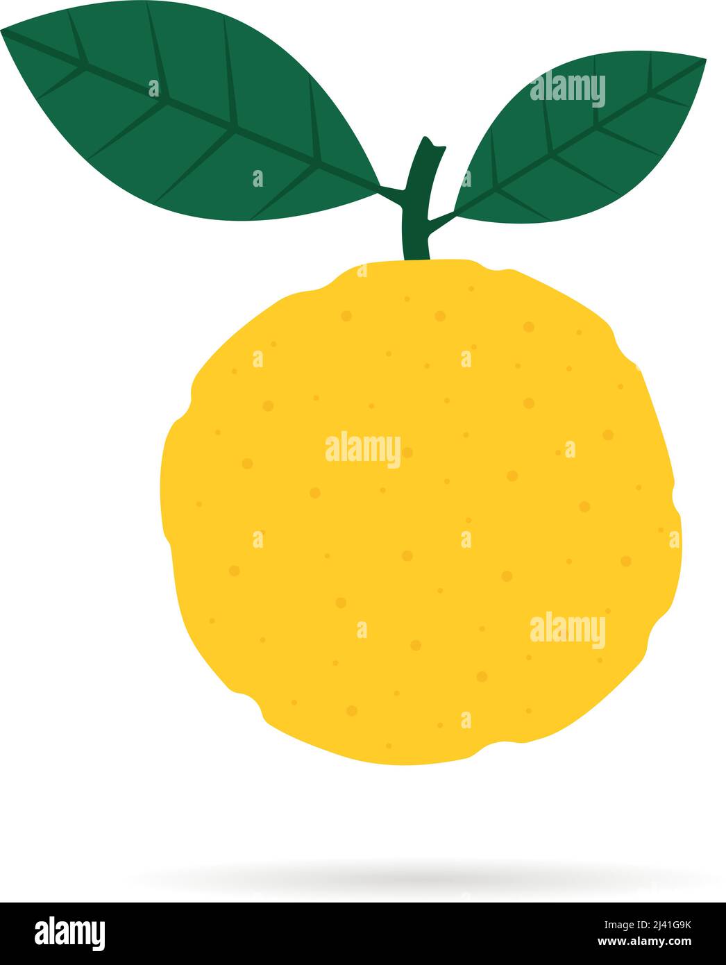 yellow yuzu fruit icon with shadow Stock Vector Image & Art - Alamy