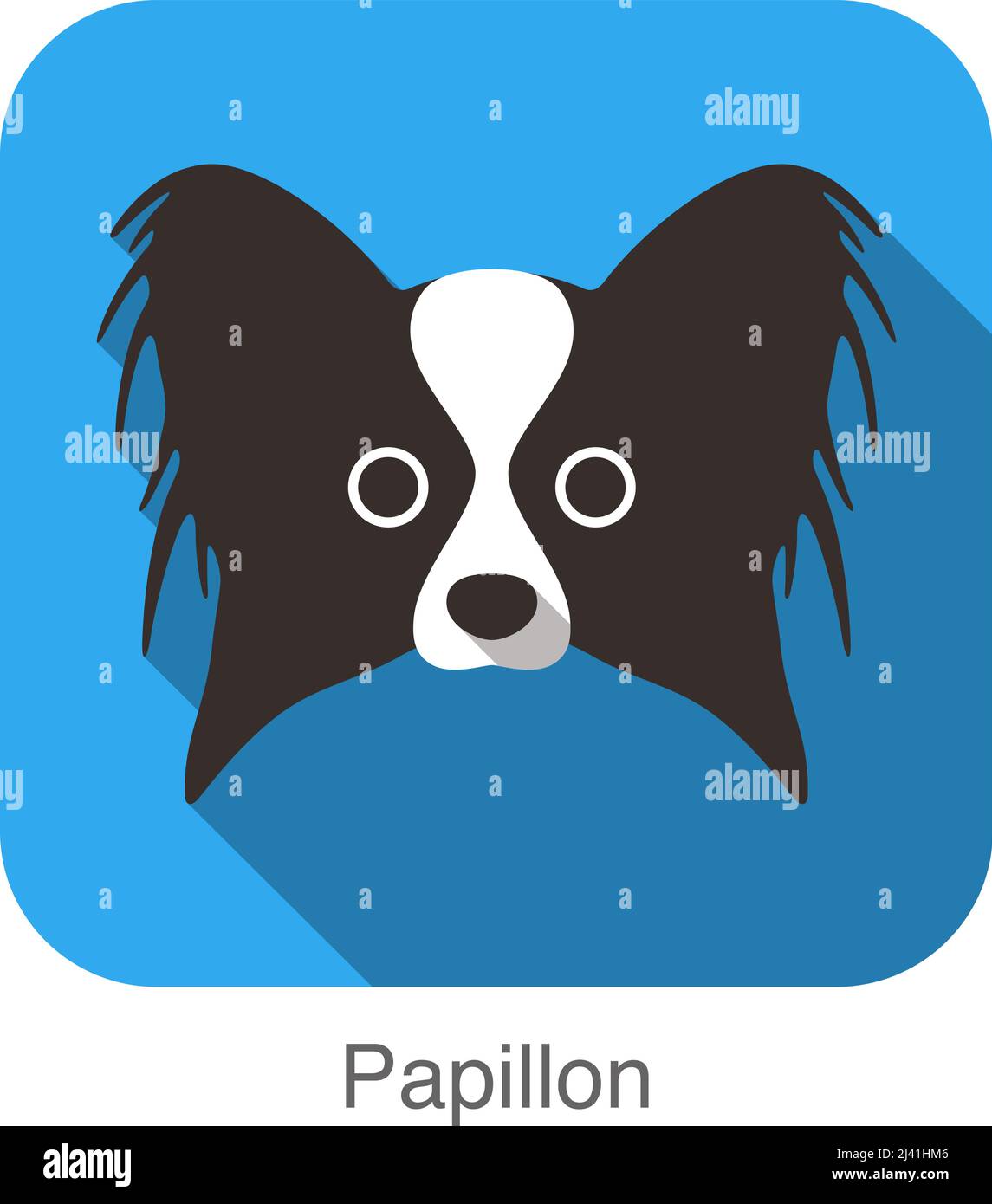 Papillon dog face flat icon Stock Vector Image & Art - Alamy