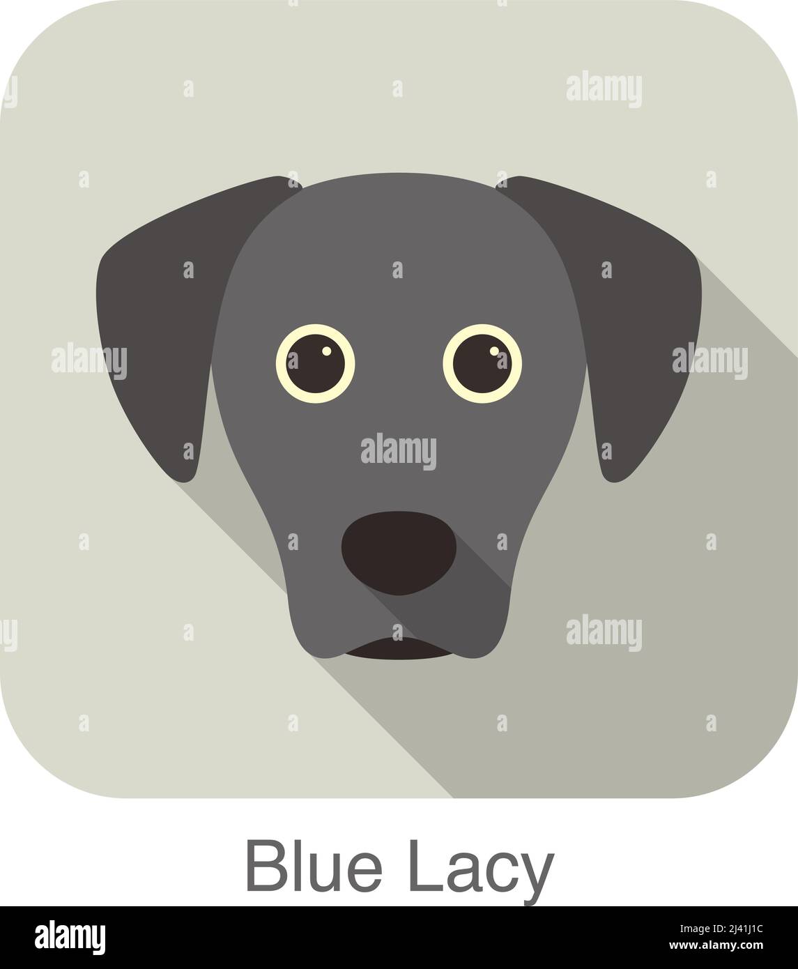 Blue lacy dog character, dog breed cartoon image series Stock Vector ...