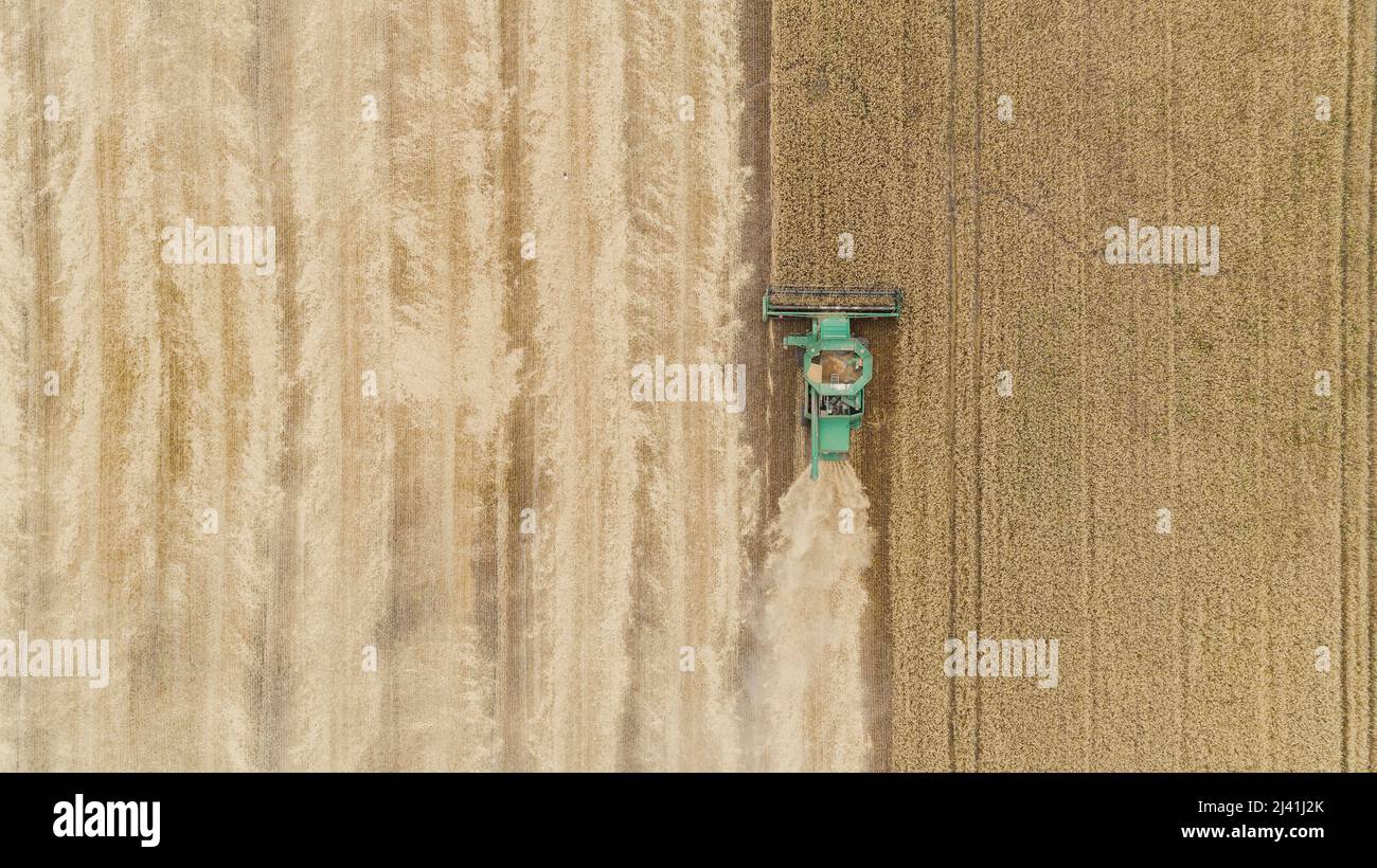 Aerial view combine harvester harvesting on the field Stock Photo - Alamy