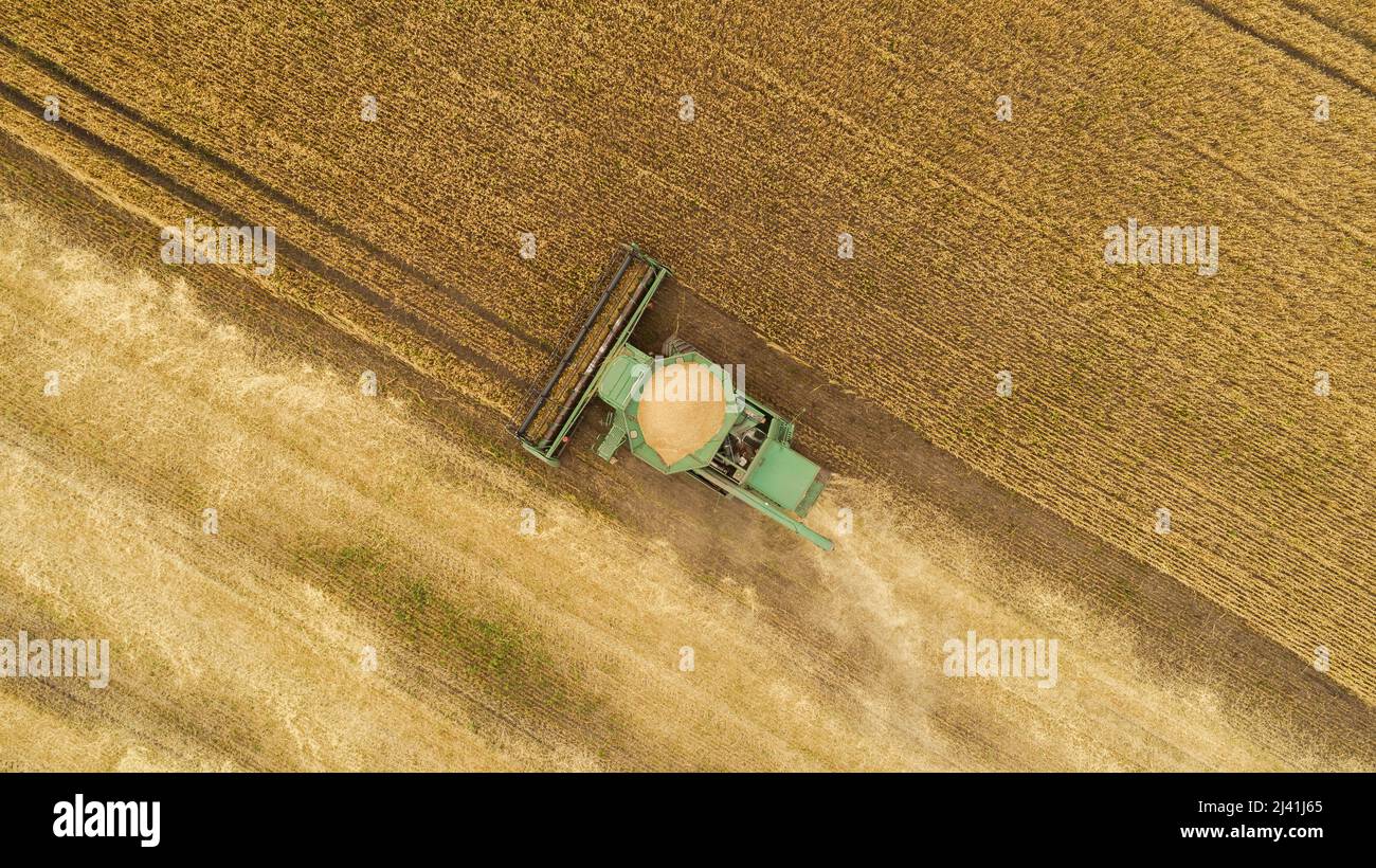 Aerial view combine harvester harvesting on the field Stock Photo - Alamy