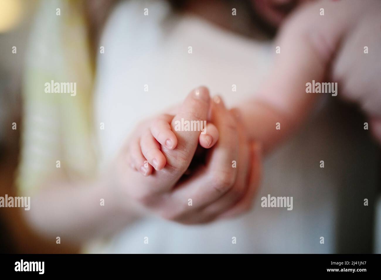 A new baby's touch. The clasp of hands signifying a special parent ...