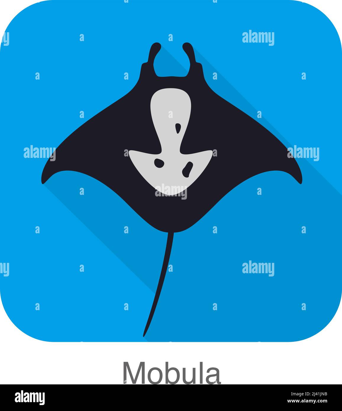 Mobula swimming in the sea, vector Stock Vector Image & Art - Alamy