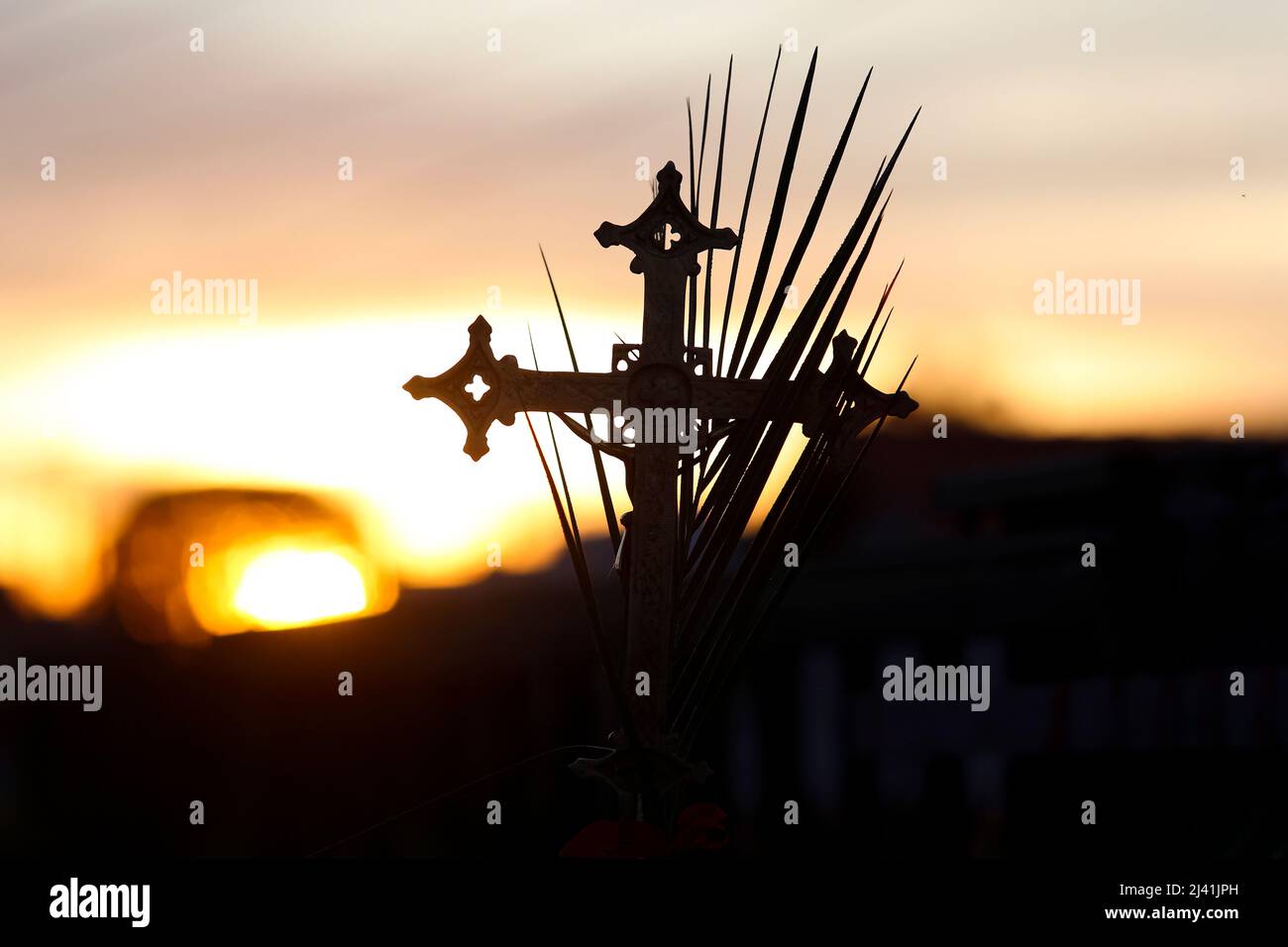 Holy Week. Processional cross and branches in beautiful sunset scenery ...