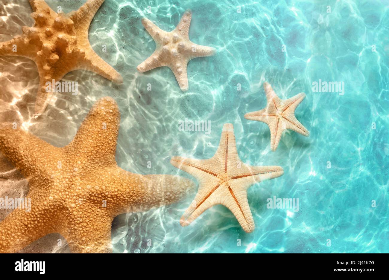 Starfish on the summer beach in sea water. Summer background. Summer ...
