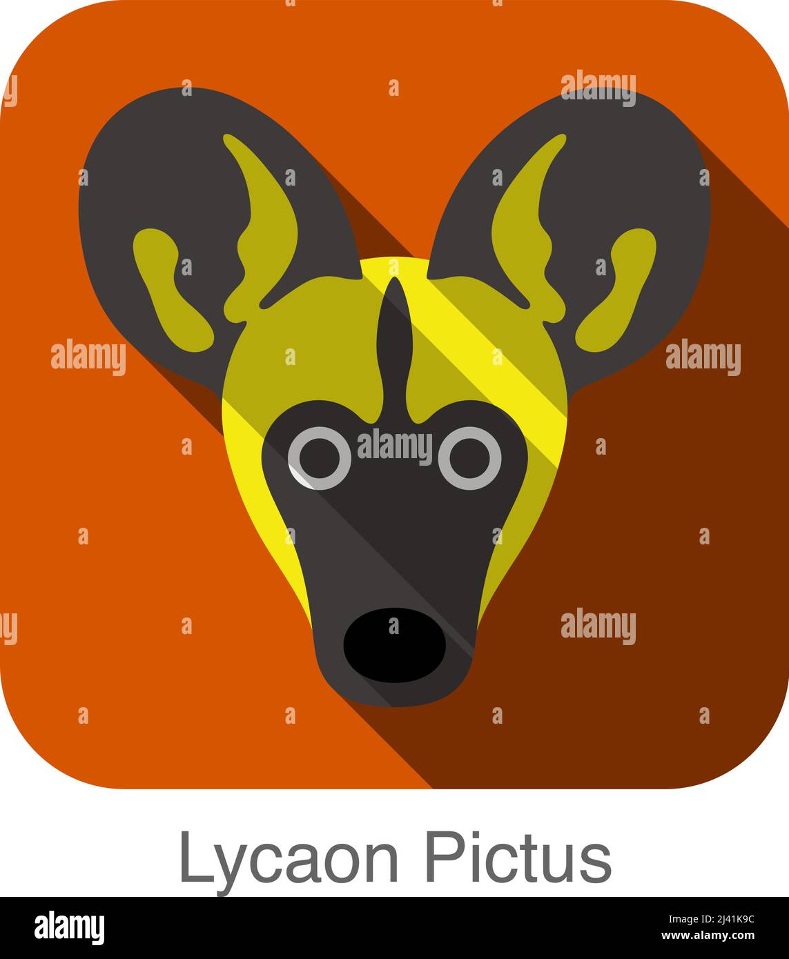 Lycaon pictus Cut Out Stock Images & Pictures - Alamy