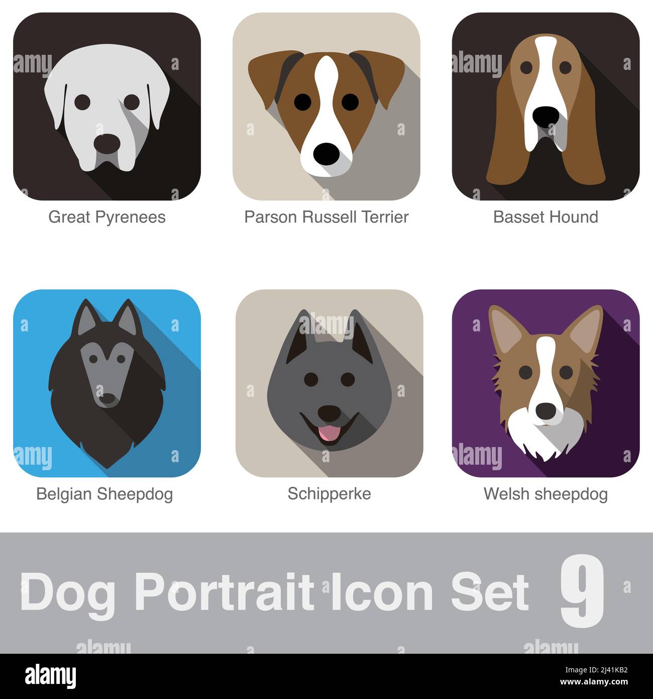 Portrait basset Stock Vector Images - Alamy