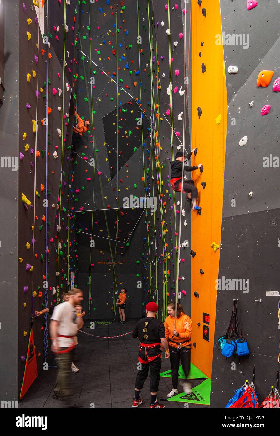 15m climbing wall. F51 Skatepark, Folkestone, United Kingdom. Architect ...