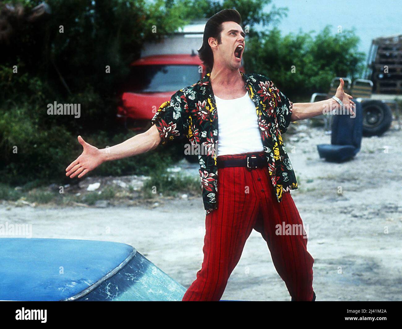 Ace ventura pet detective hi-res stock photography and images - Alamy