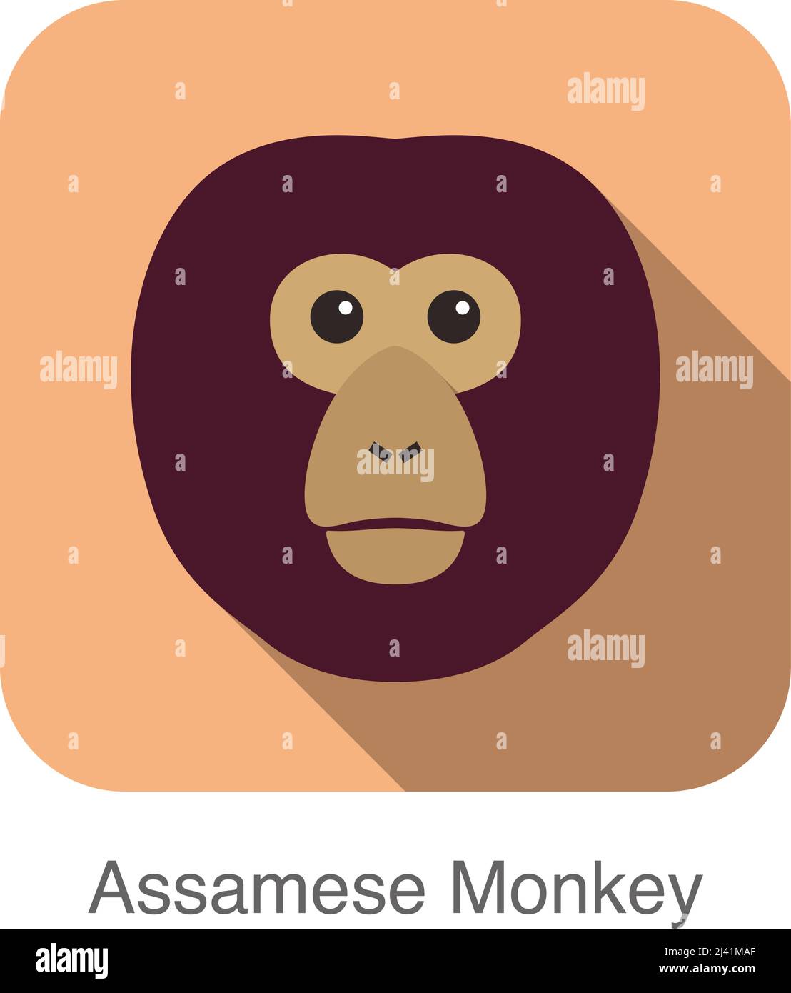 cute monkey face, Assamese monkey flat icon design, vector illustration ...