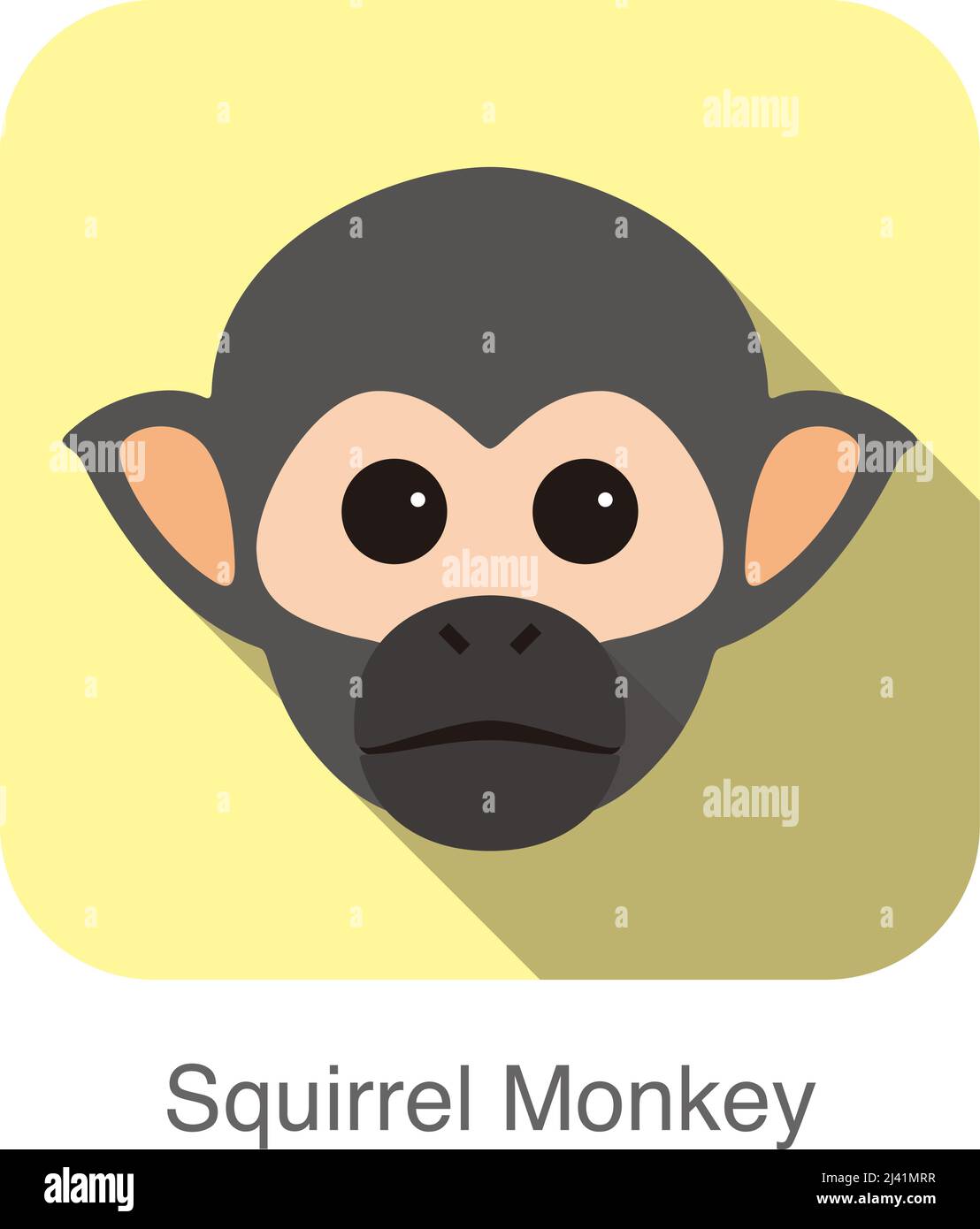 cute squirrel monkey face flat icon design, vector illustration Stock ...