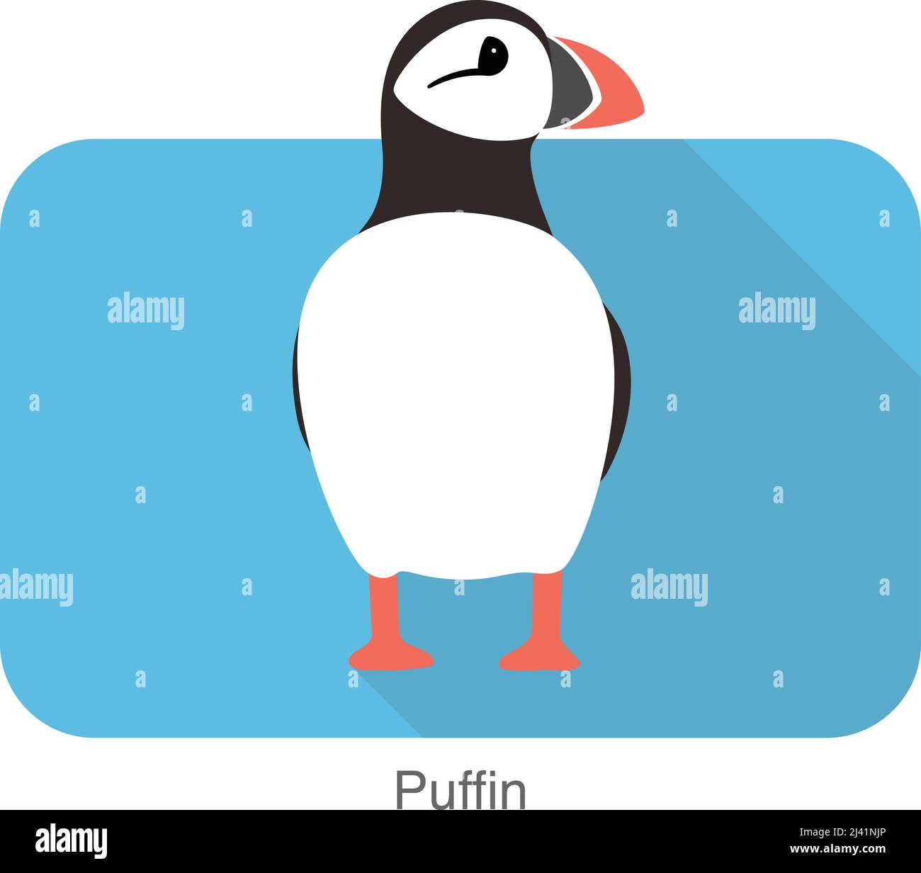 Iceland bird, flat cute puffin vector illustration Stock Vector Image ...