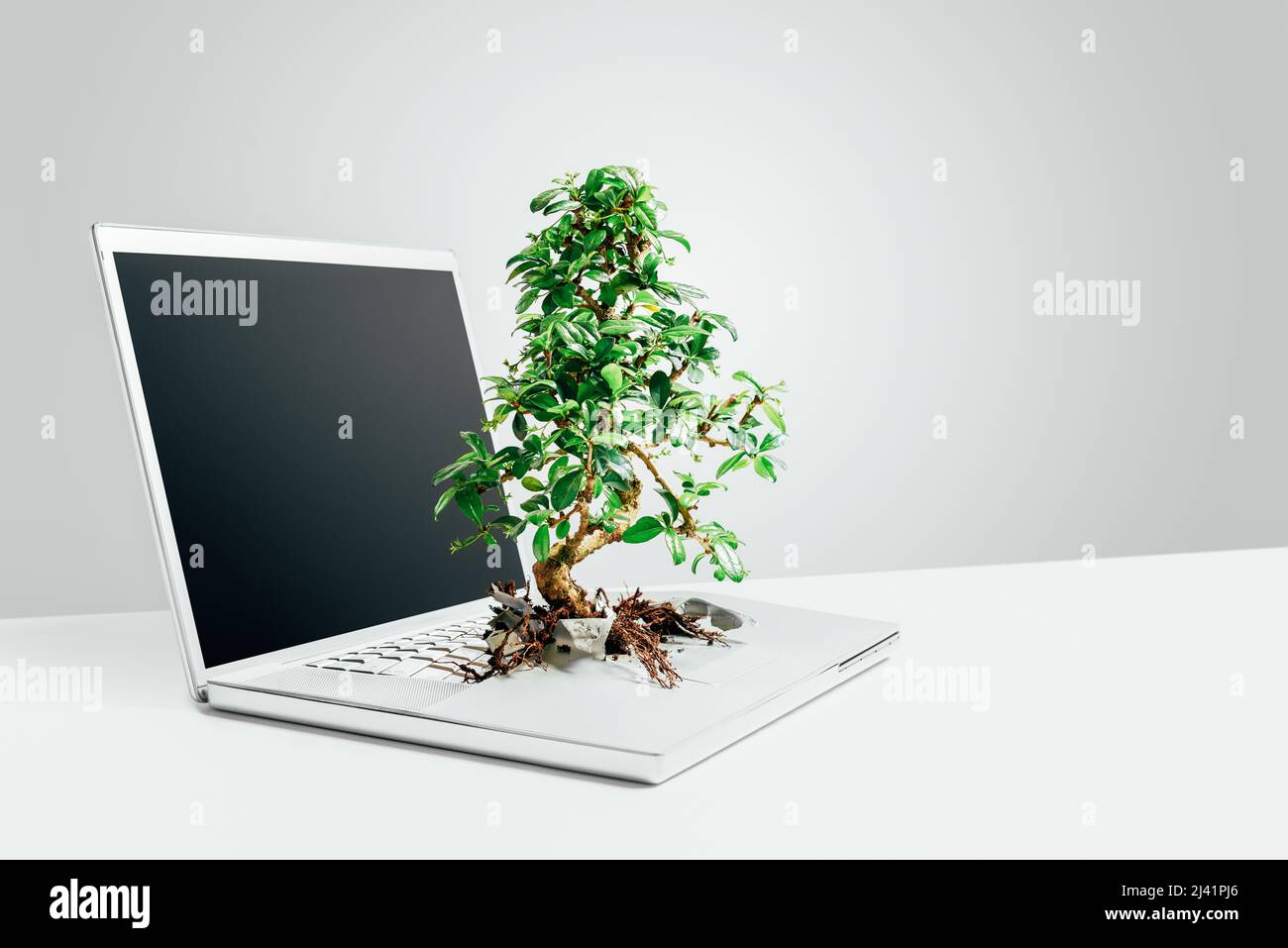 Technology fuels growth. Studio shot of a bonsai tree growing out from ...