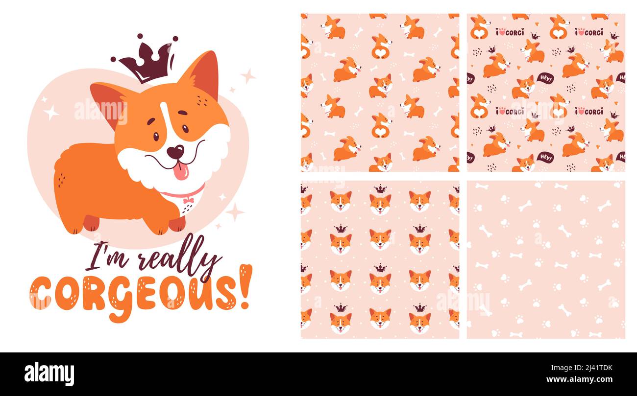 Corgi collection - seamless patterns and isolated illustration. Vector ...
