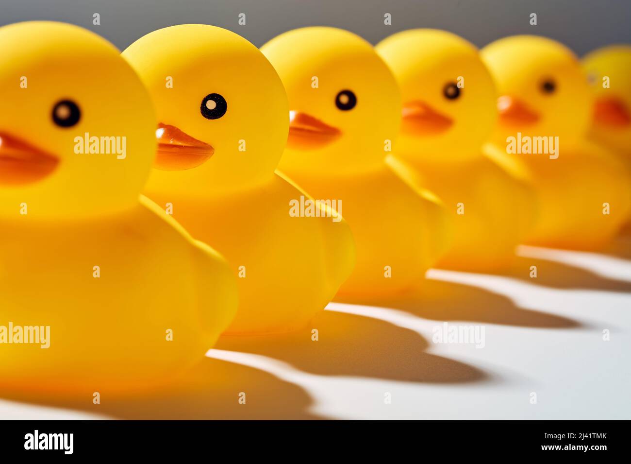 Rubber ducks or ducklings in a row Stock Photo - Alamy