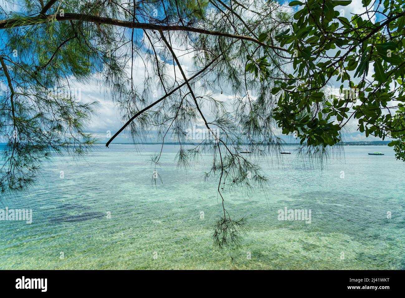 prison island beach landscape in Zanzibar, Tanzania Stock Photo - Alamy