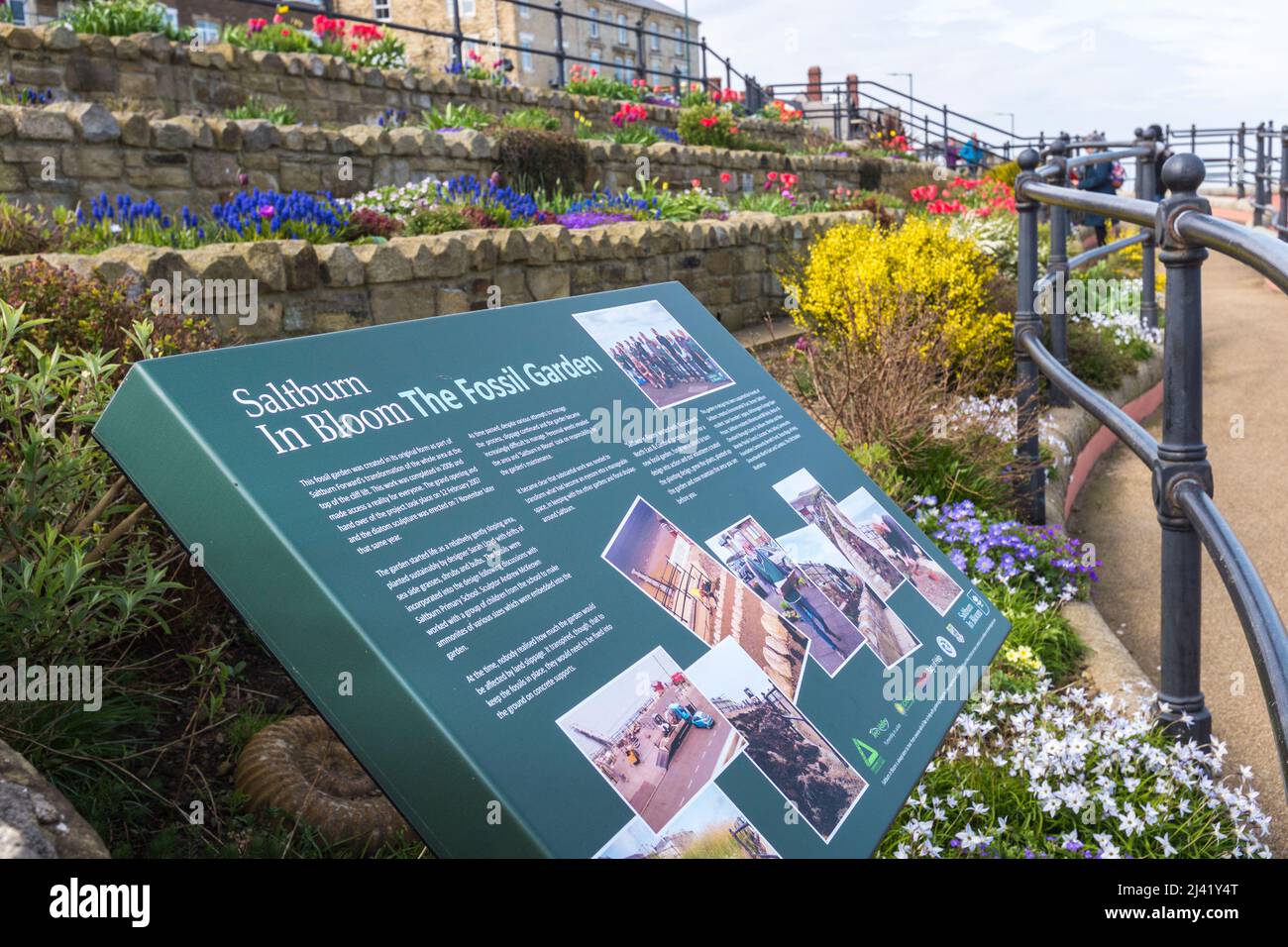 The colourful Fossil Gardens at Saltburn by the Sea,England,UK Stock ...