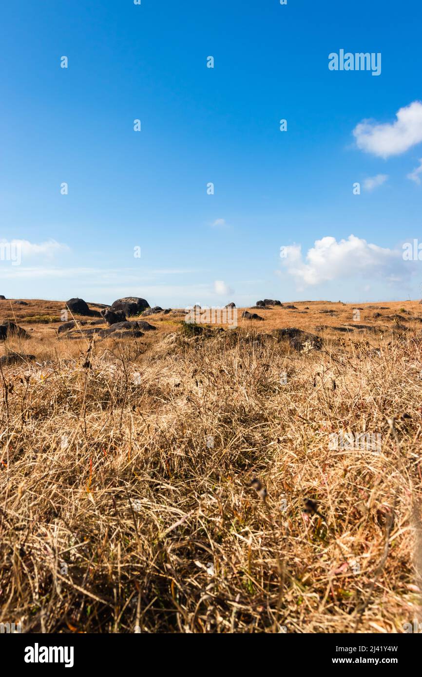rocky yellow grass mountain with bright blue sky from flat angle image ...