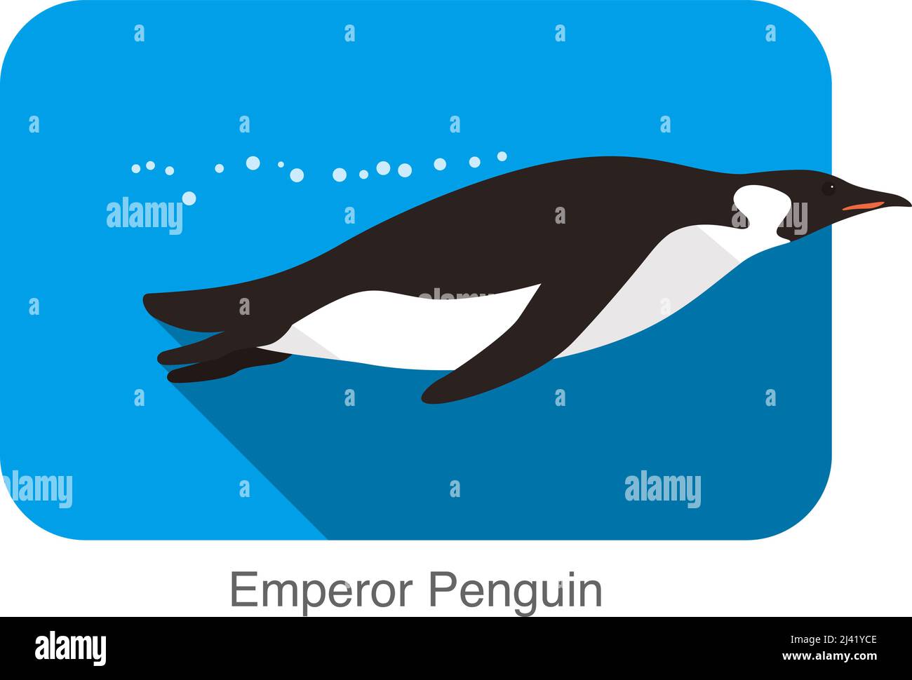 Emperor Penguin swimming in the water, Penguin seed series, vector ...