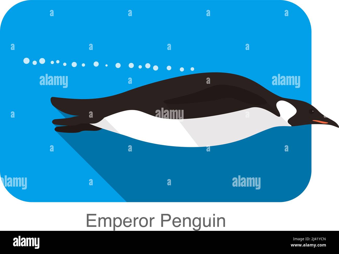 Emperor Penguin Swimming Drawing