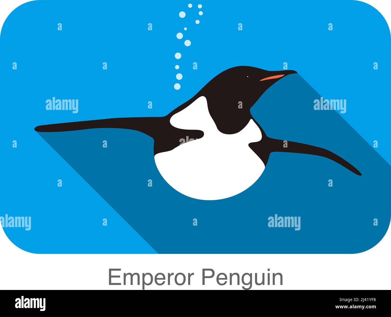 Emperor Penguin swimming in the water, Penguin seed series, vector ...