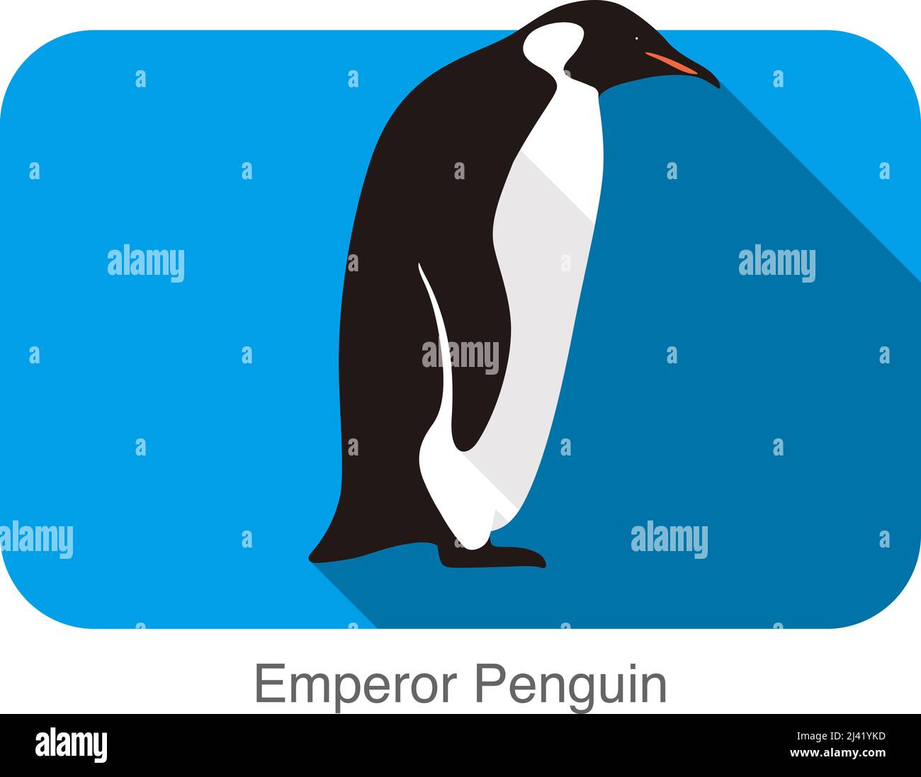 Bird emperor penguin silhouette hi-res stock photography and images - Alamy