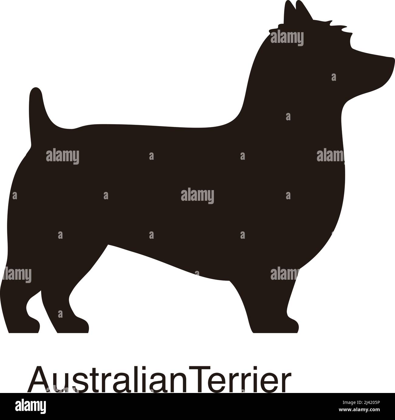Australian Terrier dog silhouette, side view, vector illustration Stock ...