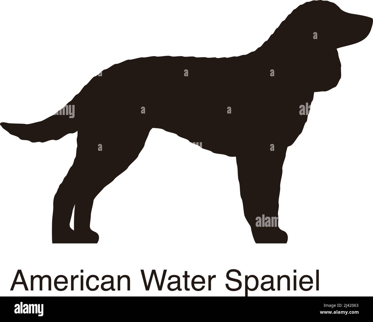 American Water Spaniel dog silhouette, side view, vector illustration ...