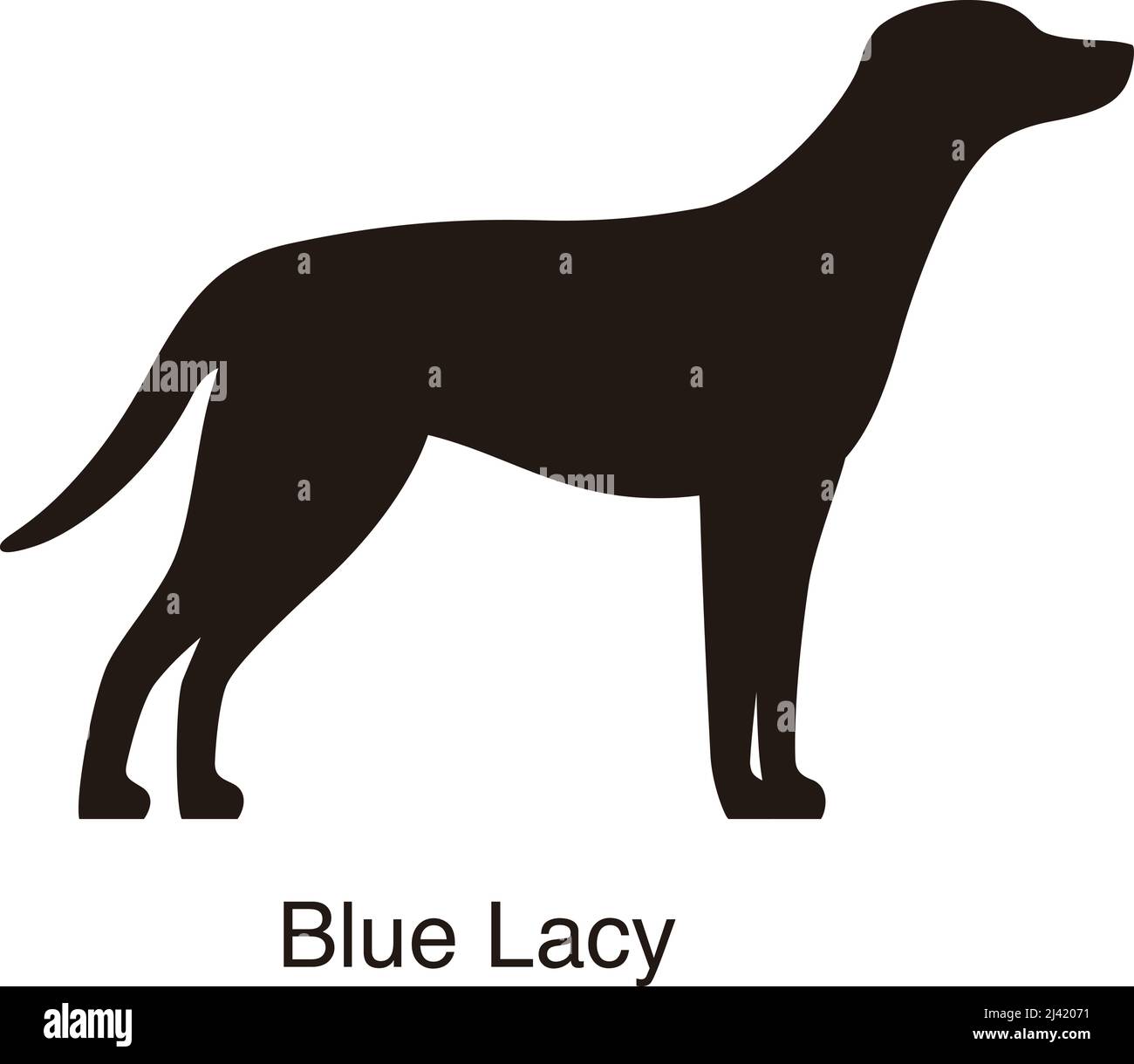 Blue Lacy dog silhouette, side view, vector illustration Stock Vector ...