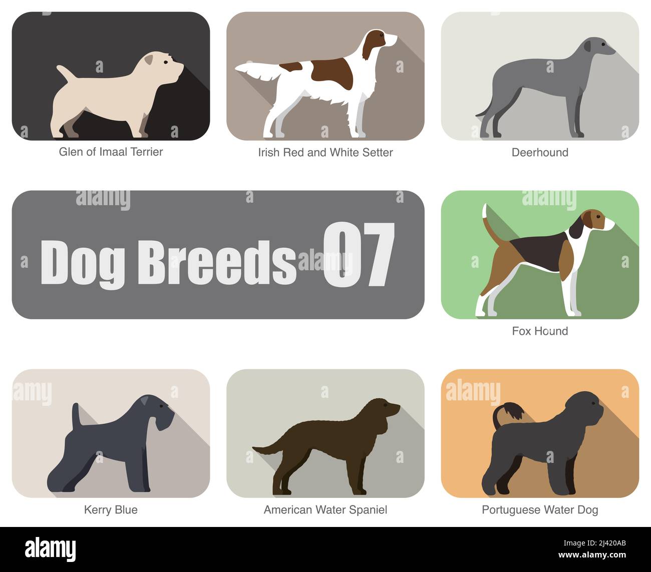 Dog breeds flat design Stock Vector Images - Alamy